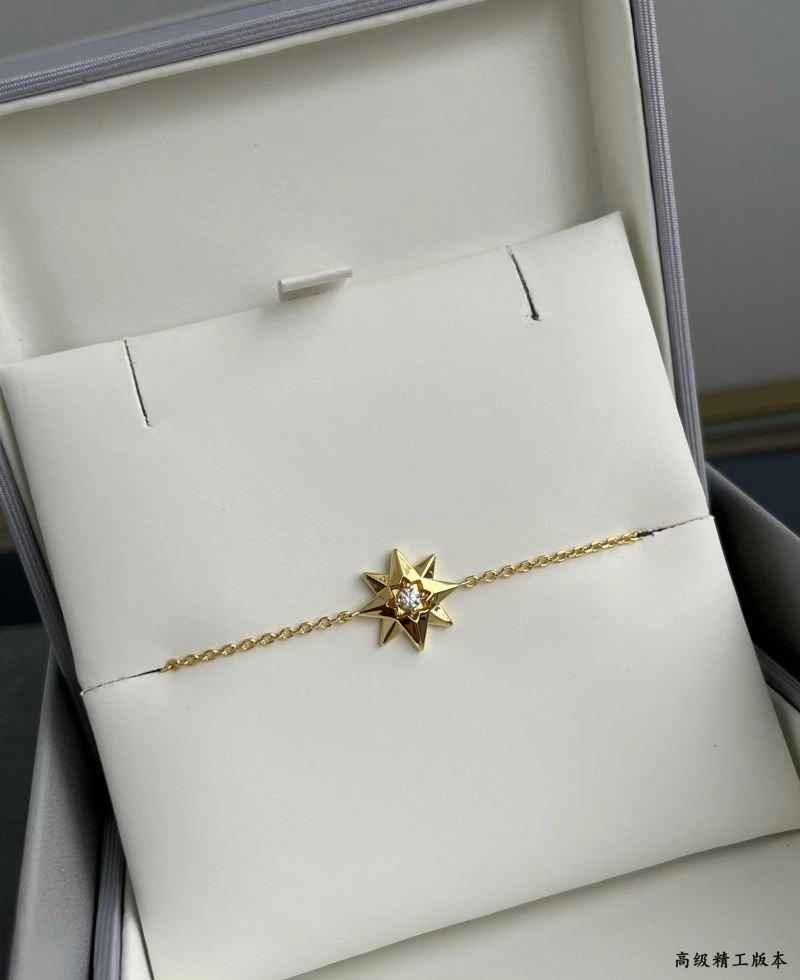 Mirror quality Christian Dior Necklaces