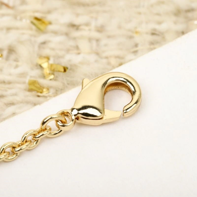 Mirror quality Christian Dior Necklaces