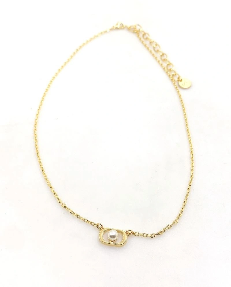 Mirror quality Christian Dior Necklaces