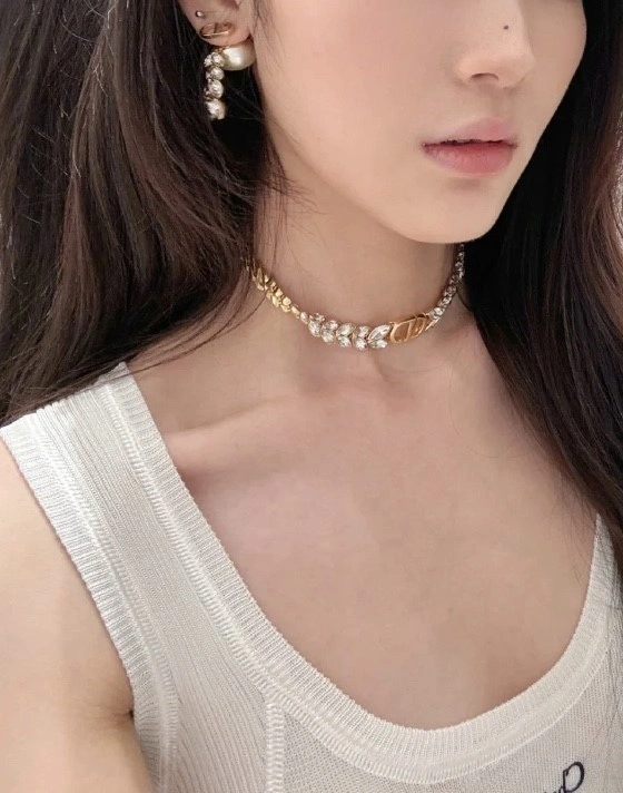 Accurate model Christian Dior Necklaces