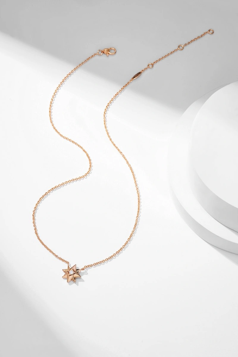 Exact replica Christian Dior Necklaces