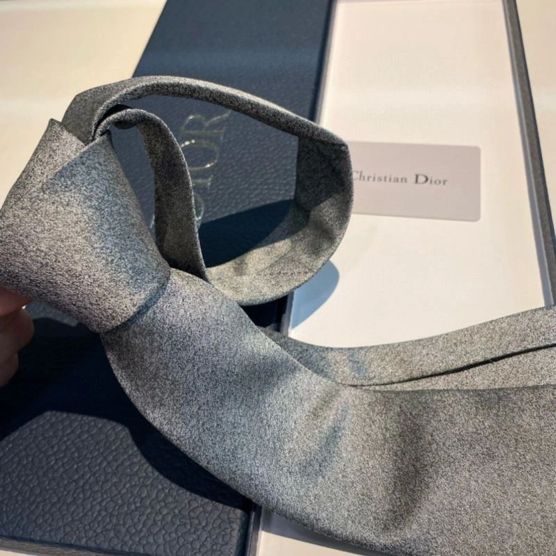 Official Christian Dior Neckties