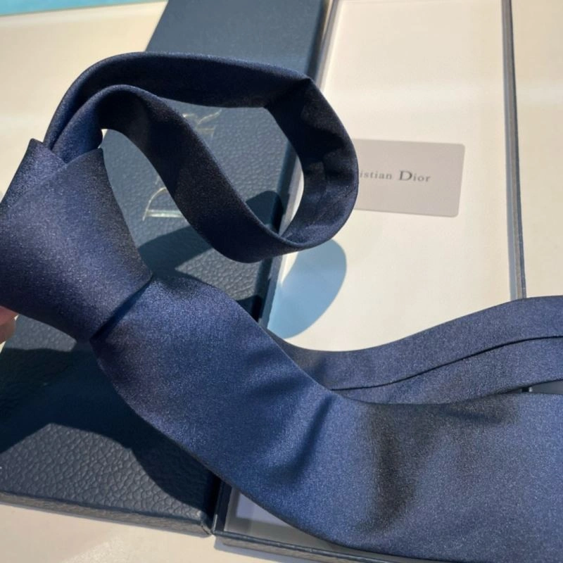 Indistinguishable Christian Dior Neckties