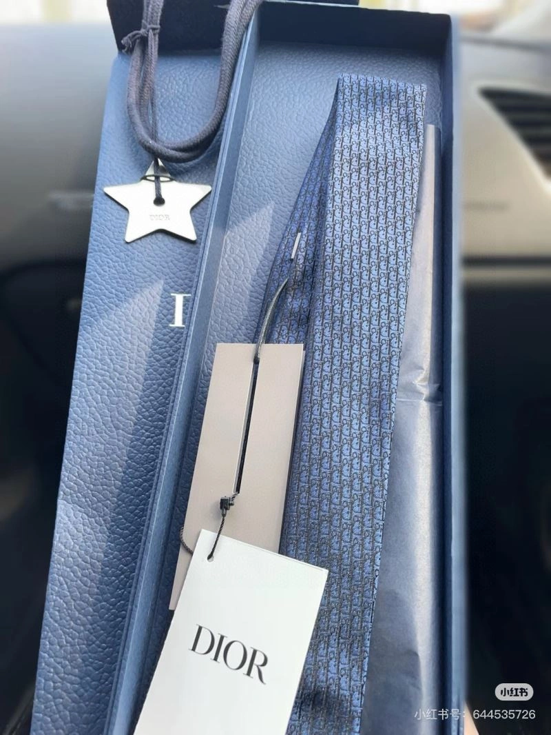 Budget-friendly Christian Dior Neckties