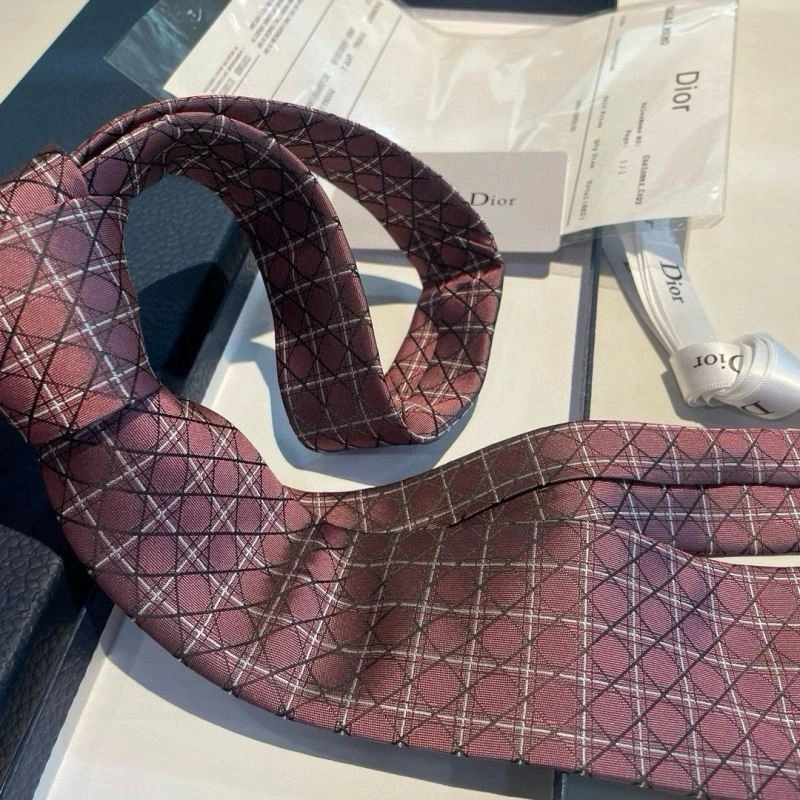 High fidelity Christian Dior Neckties