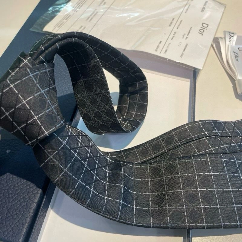 Brand-original Christian Dior Neckties