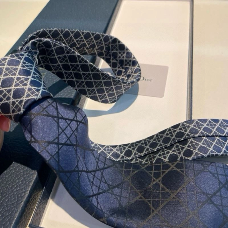 Mirror quality Christian Dior Neckties