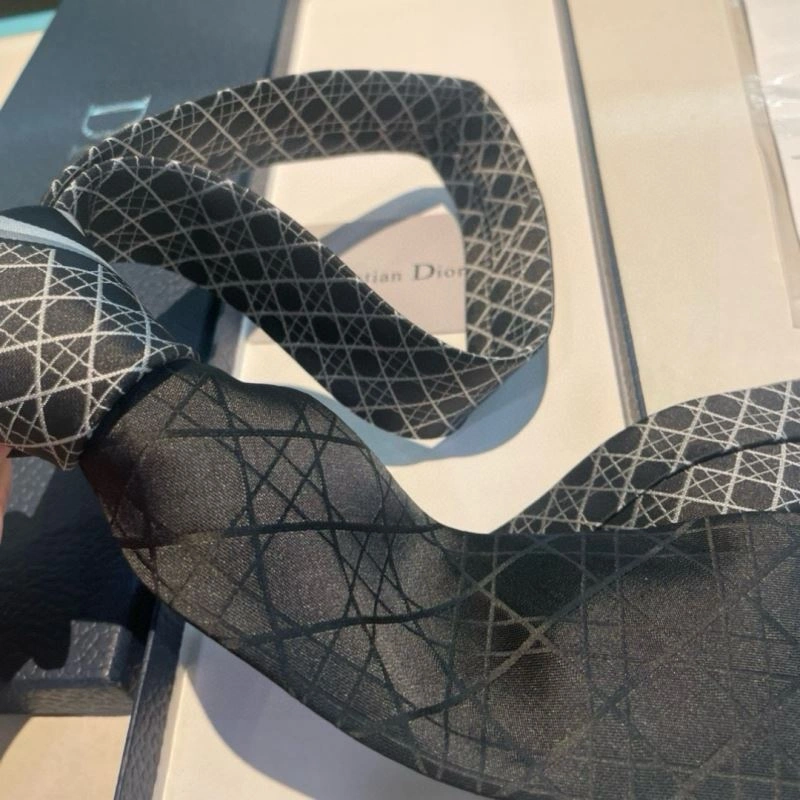 Legit Christian Dior Neckties