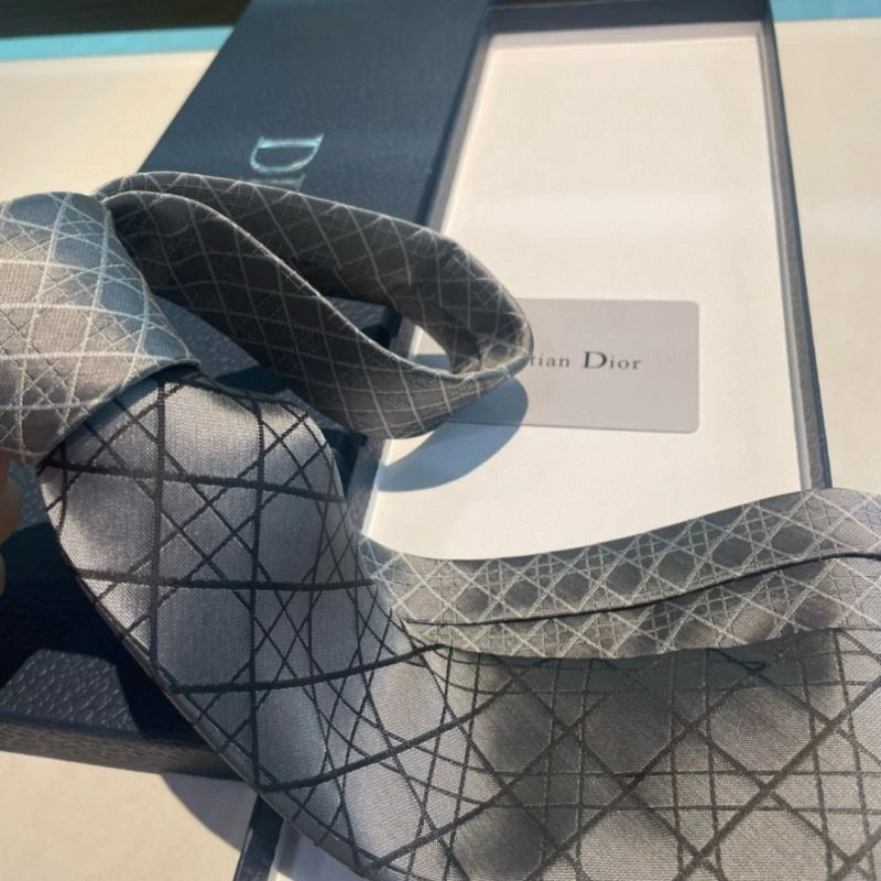Brand-original Christian Dior Neckties