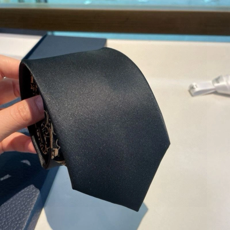 High accuracy Christian Dior Neckties