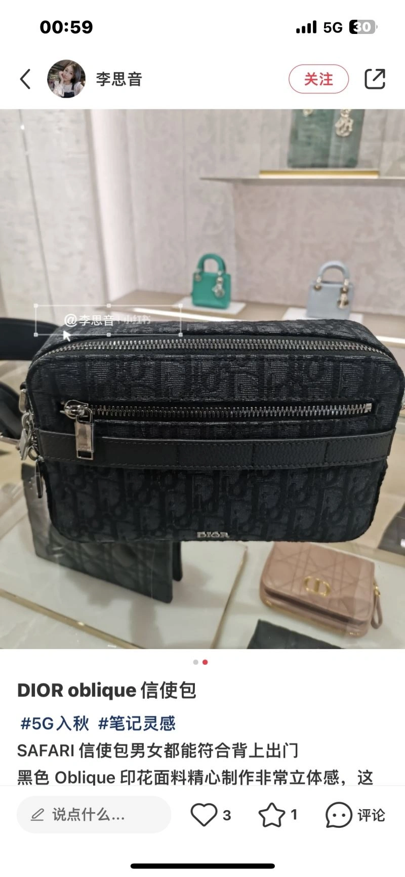 Precise copy Christian Dior Other Bags