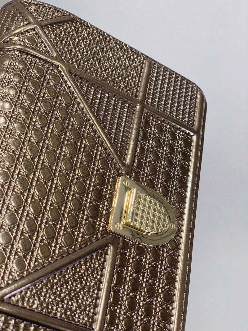 Accurate model Christian Dior Other Bags
