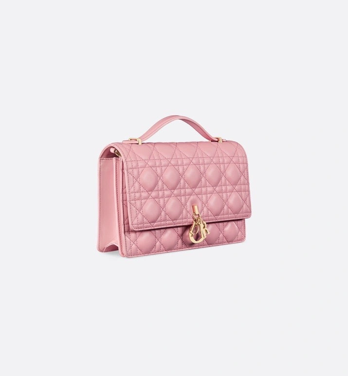 Accurate model Christian Dior Other Bags