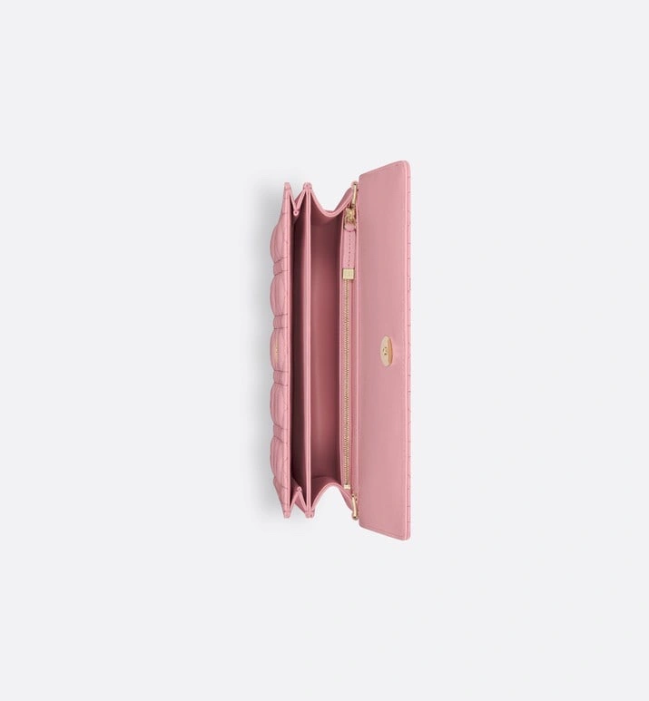 Accurate model Christian Dior Other Bags