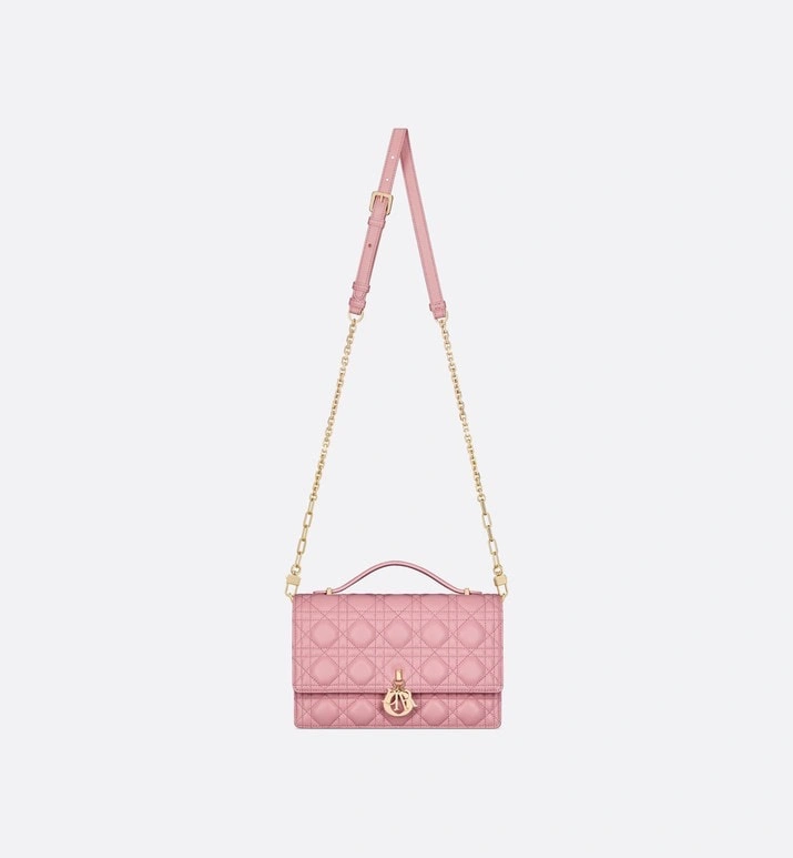 Accurate model Christian Dior Other Bags