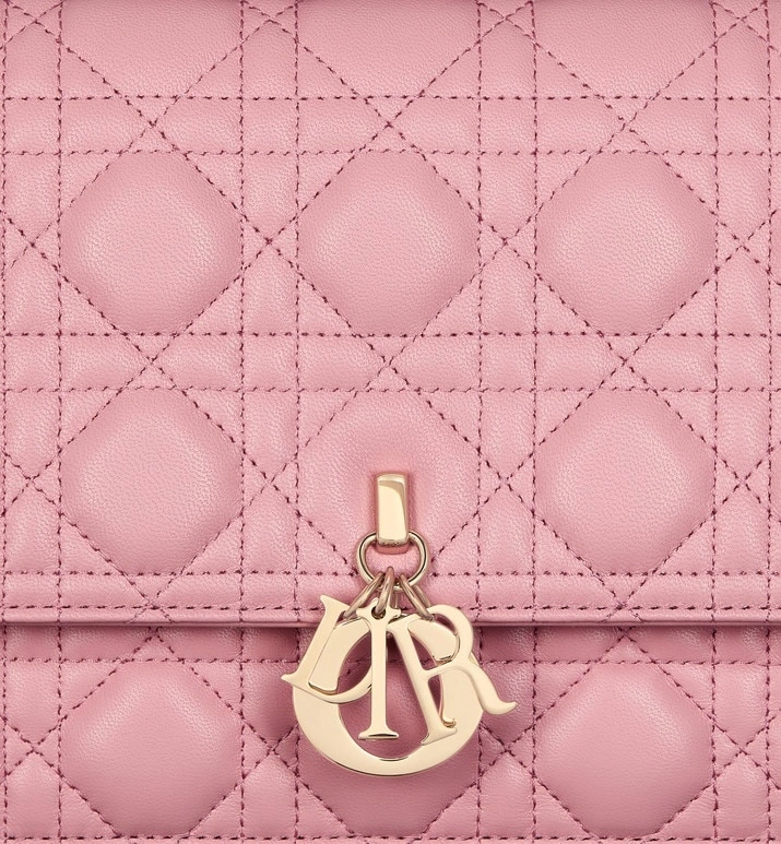 Accurate model Christian Dior Other Bags