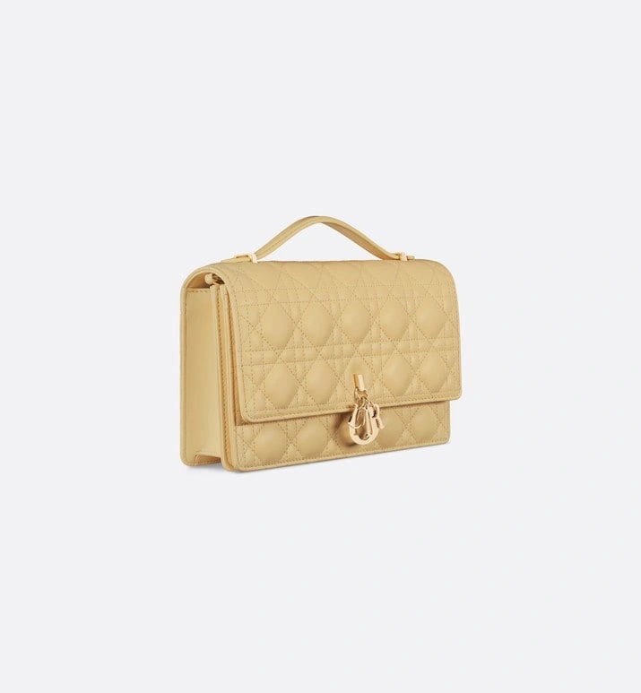 Mirror quality Christian Dior Other Bags