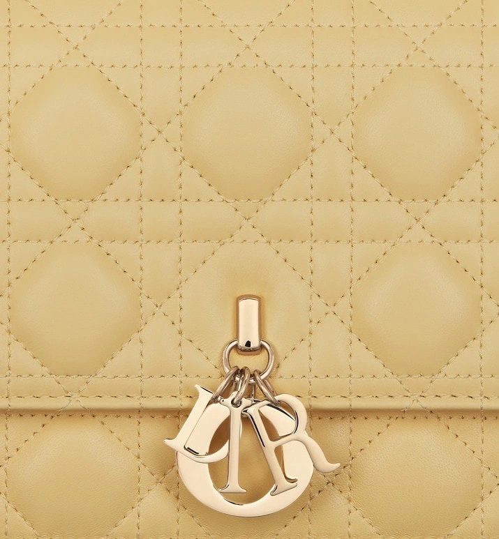 Mirror quality Christian Dior Other Bags
