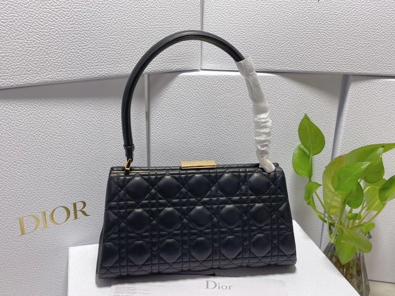 Indistinguishable Christian Dior Other Bags