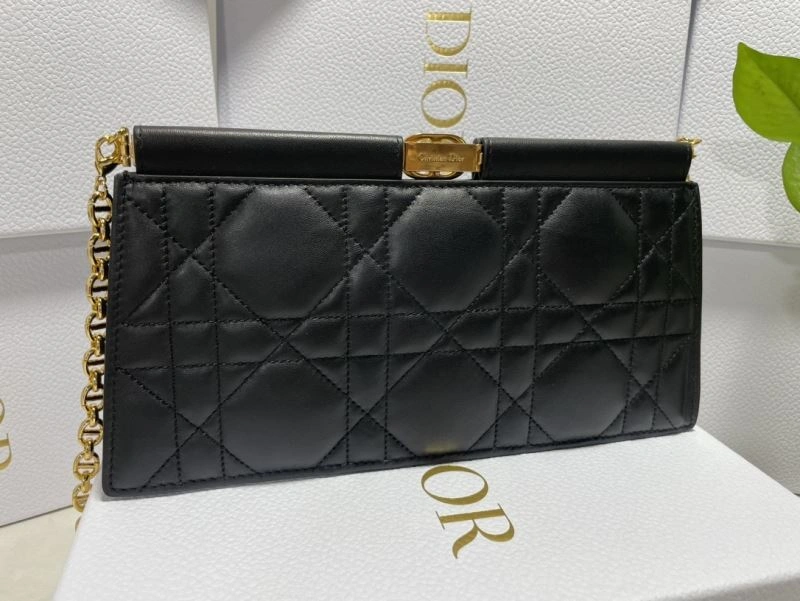 Accurate model Christian Dior Other Bags