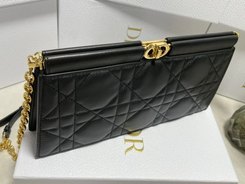 Accurate model Christian Dior Other Bags