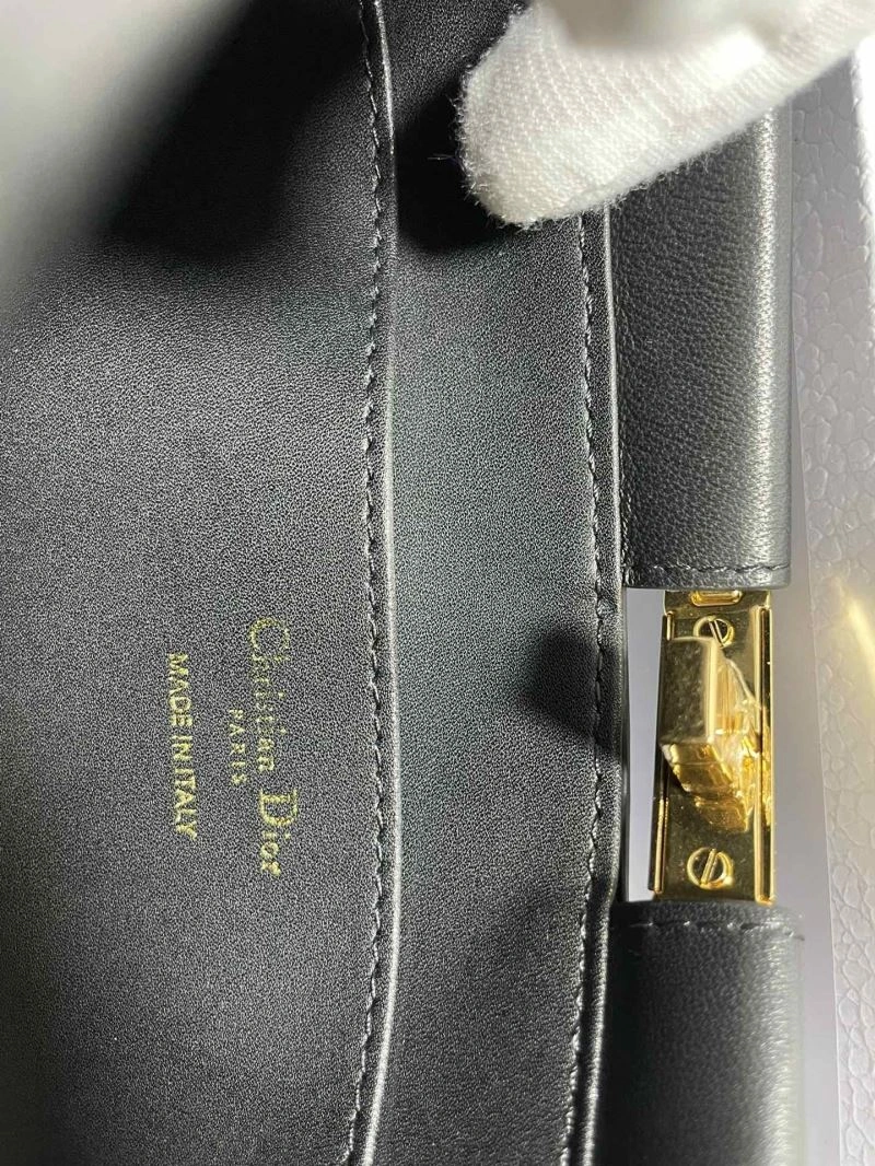 Accurate model Christian Dior Other Bags