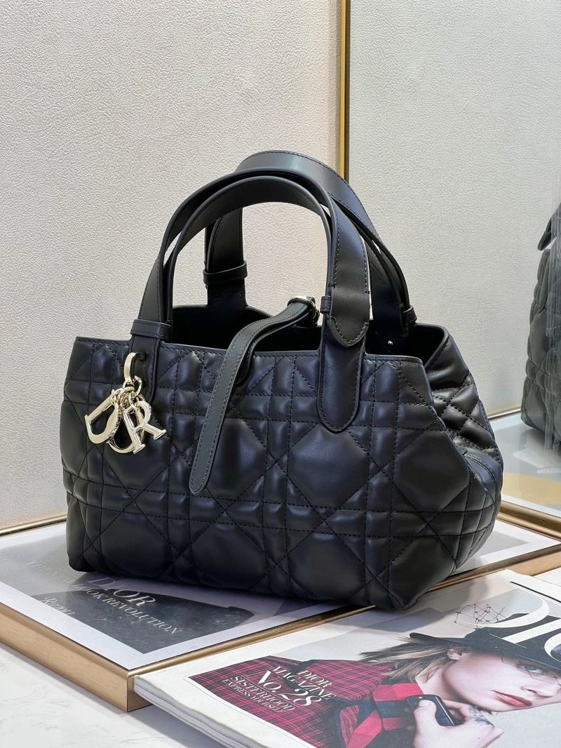 Accurate model Christian Dior Other Bags