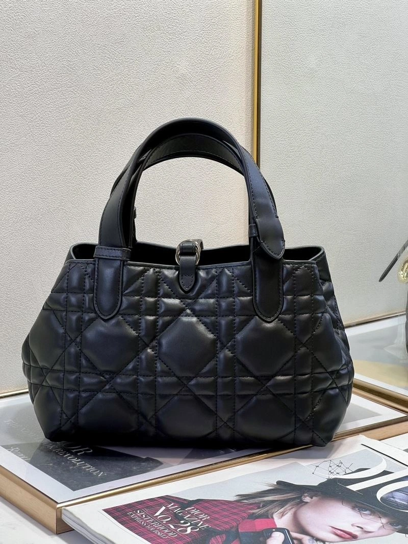 Accurate model Christian Dior Other Bags