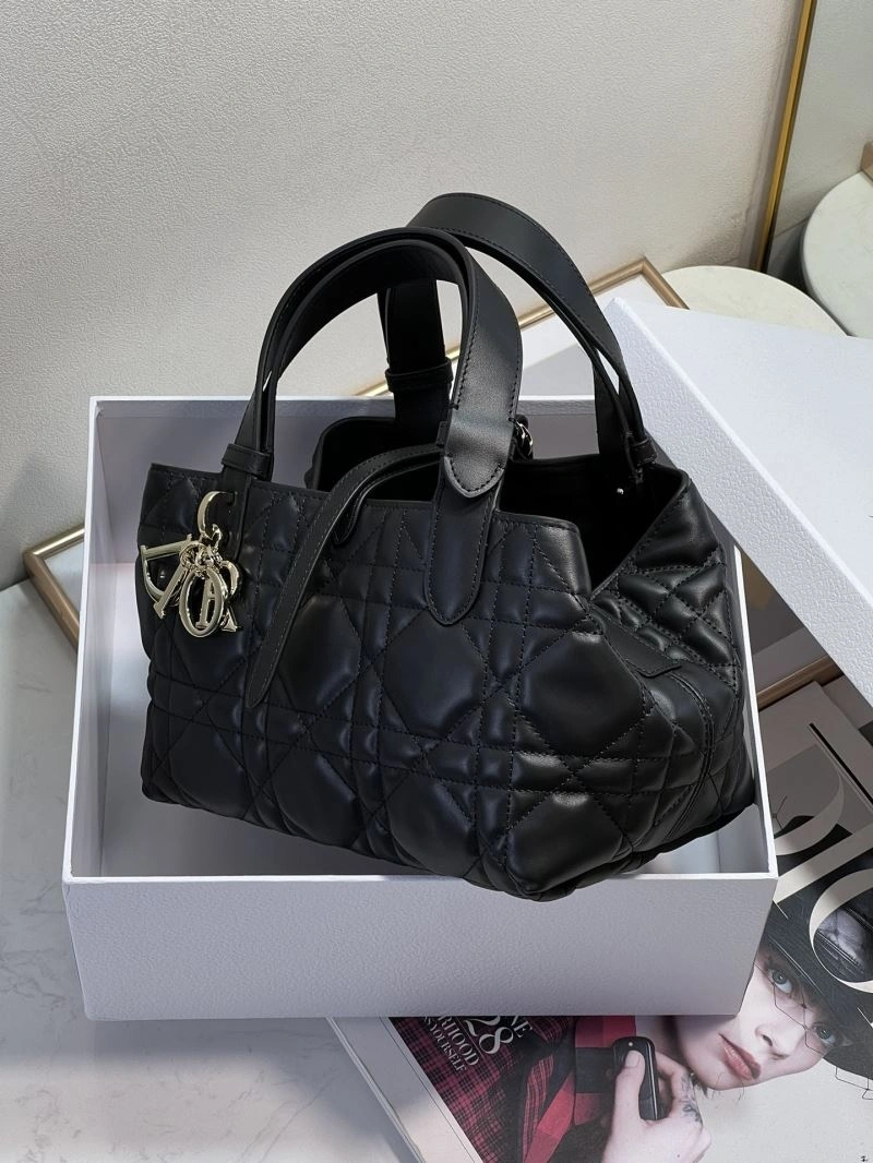 Accurate model Christian Dior Other Bags