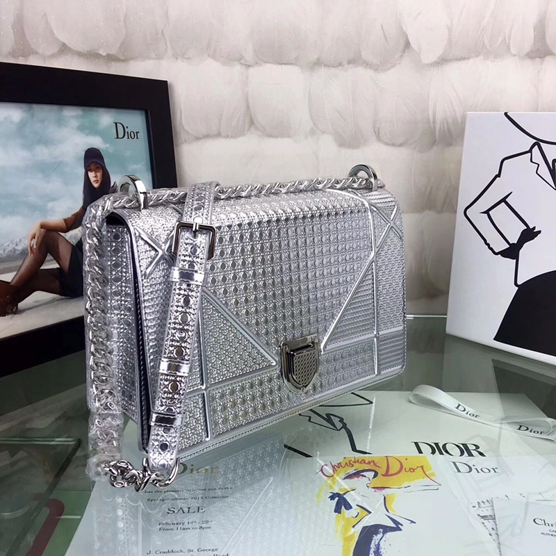 Official Christian Dior Other Bags