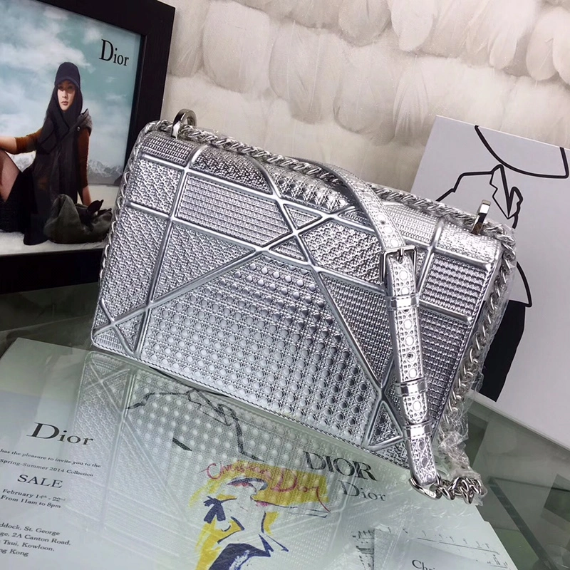 Official Christian Dior Other Bags