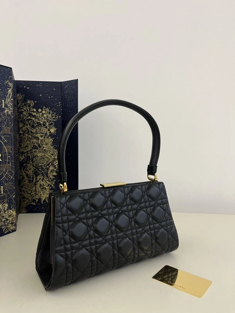 Precise copy Christian Dior Other Bags