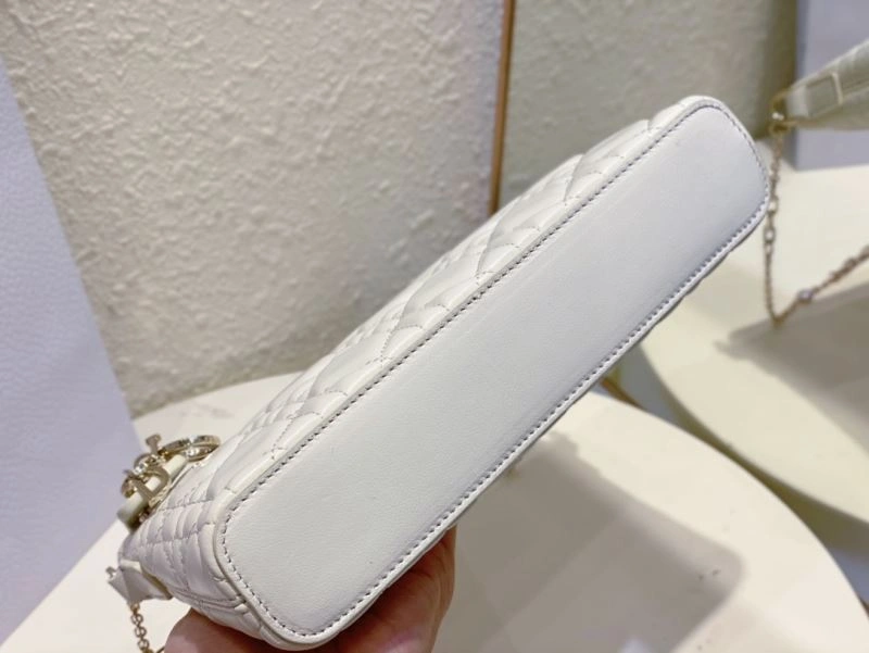 Accurate model Christian Dior Other Bags
