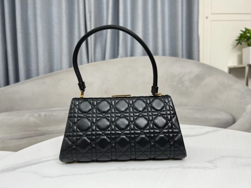 1:1 copy Christian Dior Other Bags