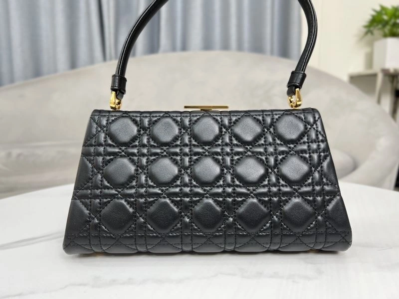 1:1 copy Christian Dior Other Bags