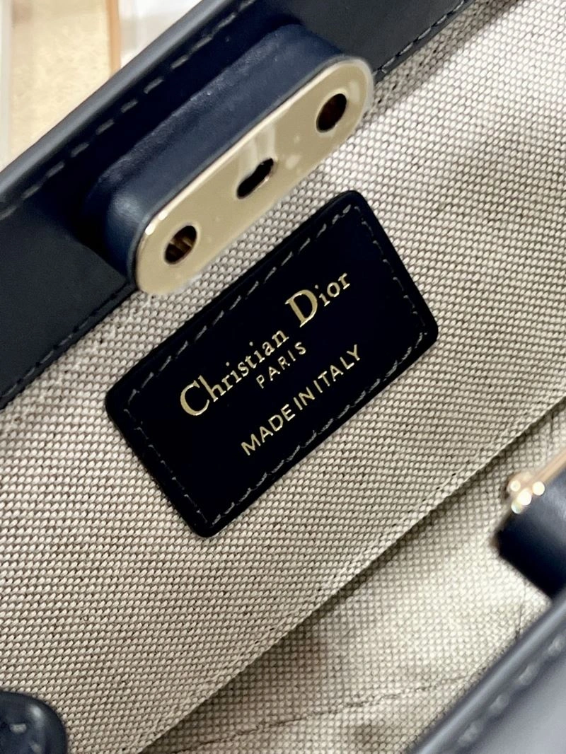 Accurate model Christian Dior Other Bags
