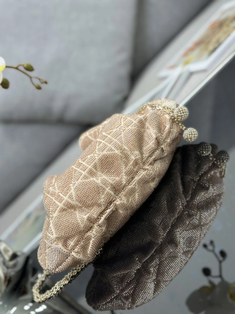 1:1 copy Christian Dior Other Bags