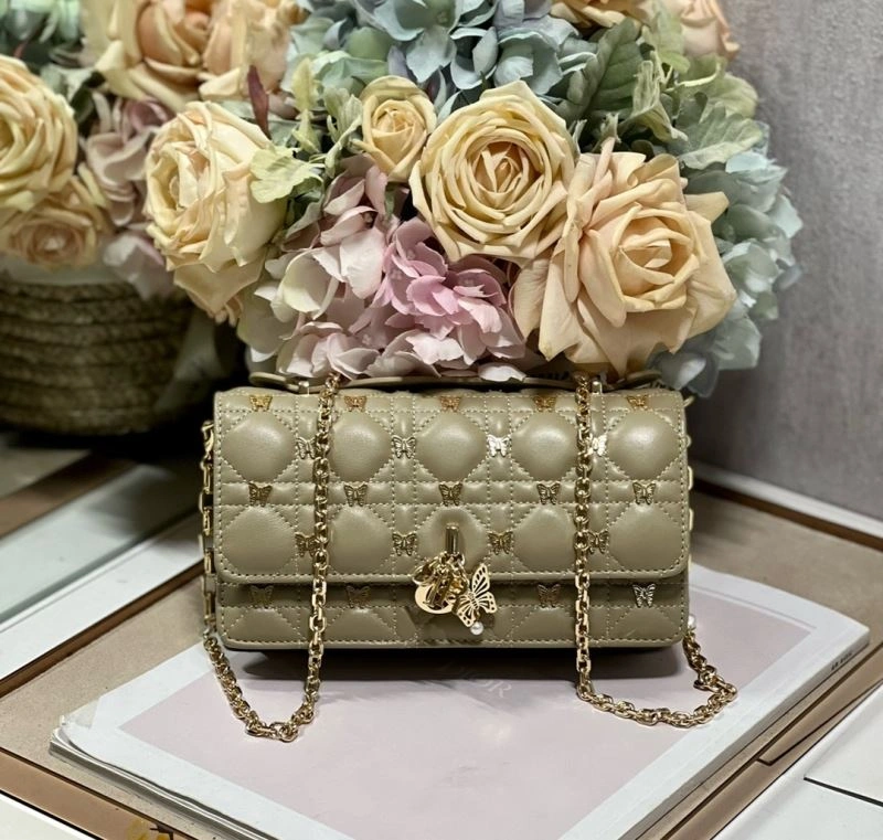 1:1 copy Christian Dior Other Bags
