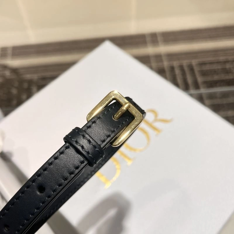 Official Christian Dior Other Bags