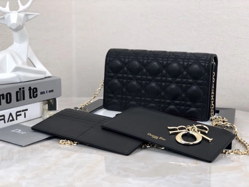 Precise copy Christian Dior Other Bags