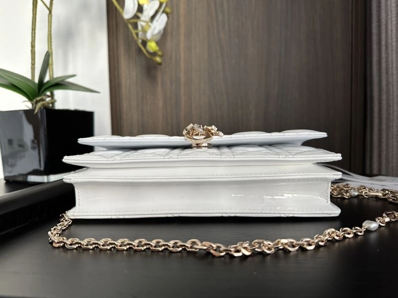 Official Christian Dior Other Bags