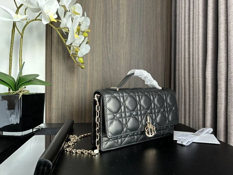 Mirror quality Christian Dior Other Bags