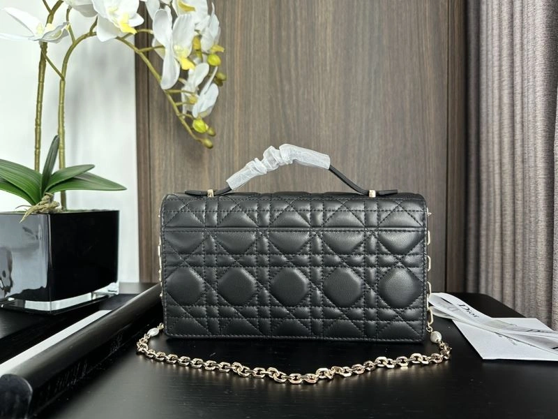 Mirror quality Christian Dior Other Bags