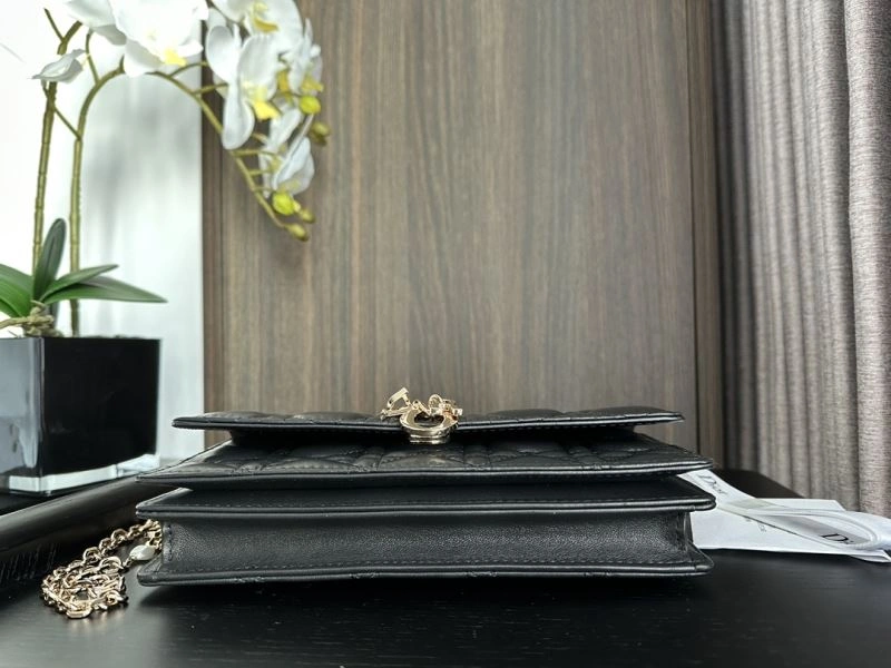 Mirror quality Christian Dior Other Bags