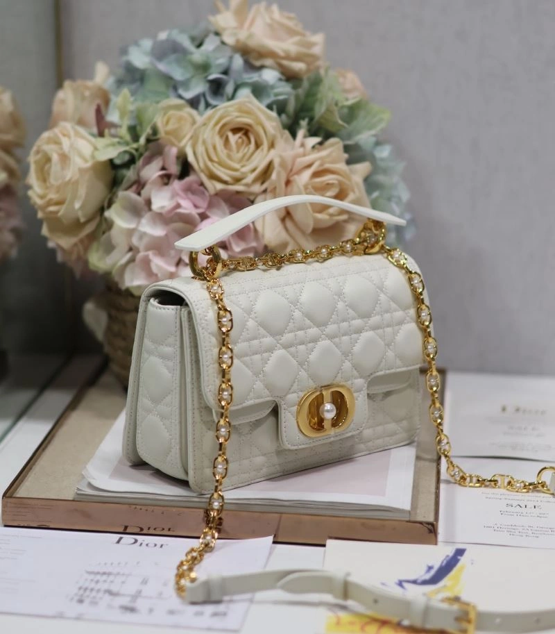 1:1 copy Christian Dior Other Bags