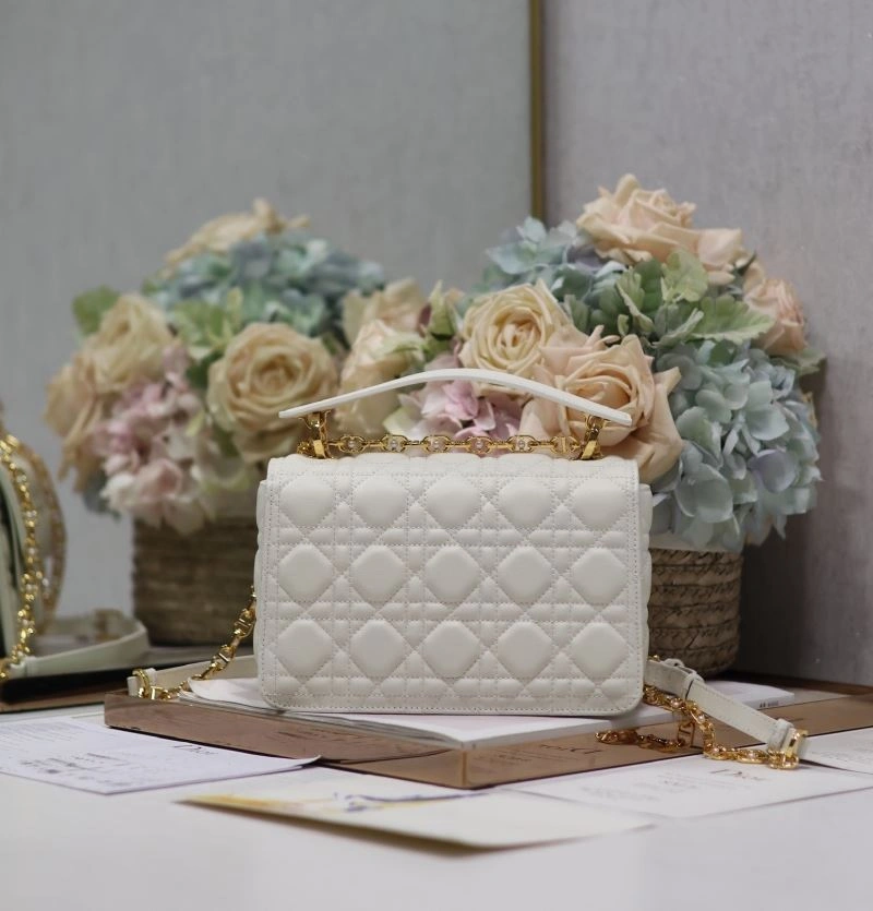 1:1 copy Christian Dior Other Bags