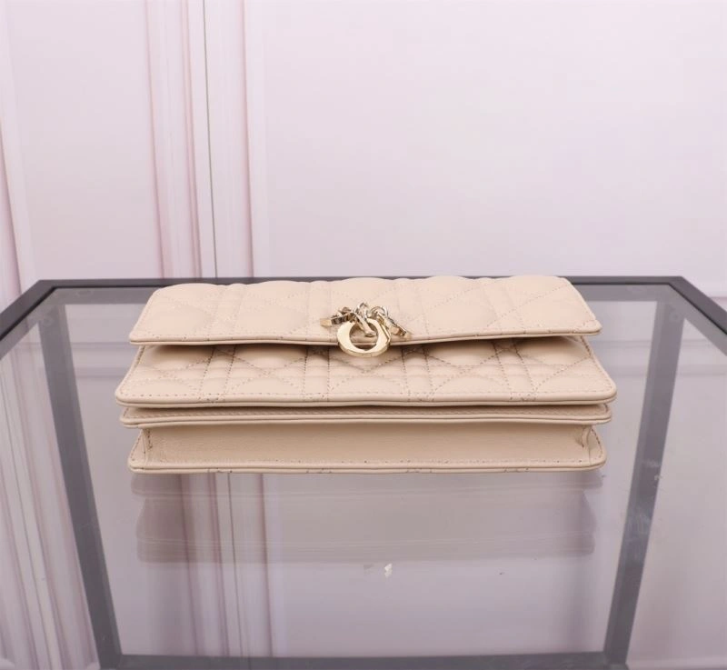 Top match Christian Dior Other Bags