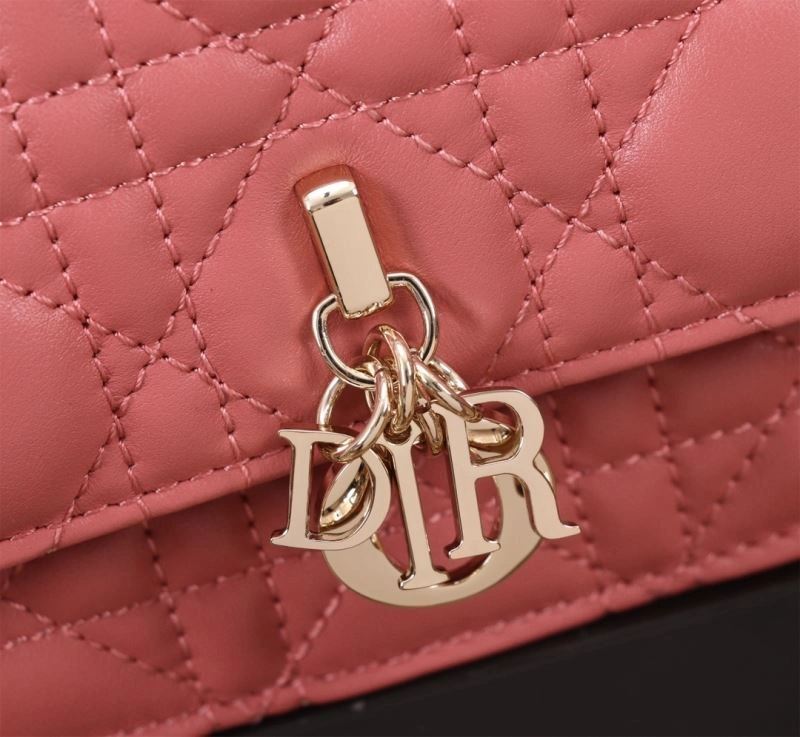Precise copy Christian Dior Other Bags