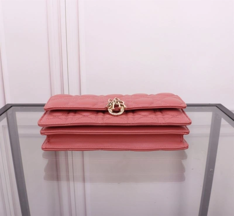 Precise copy Christian Dior Other Bags