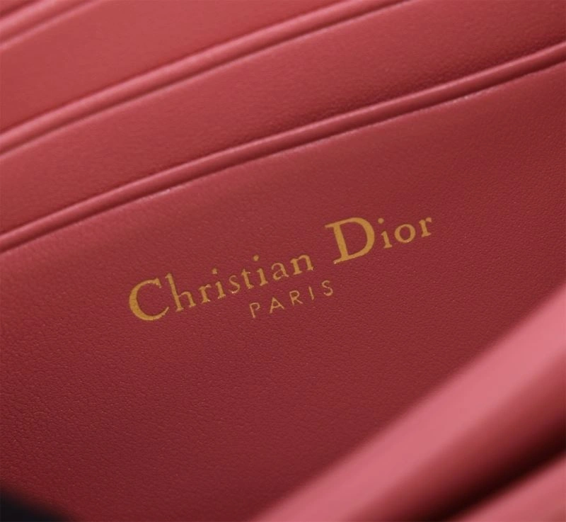 Precise copy Christian Dior Other Bags